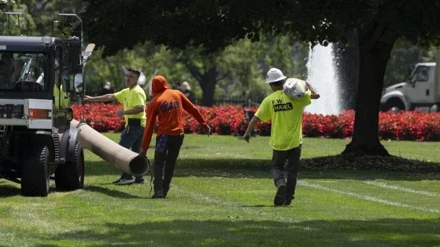 Trump’s birthday celebration sees White House lawn converted into UFC ...