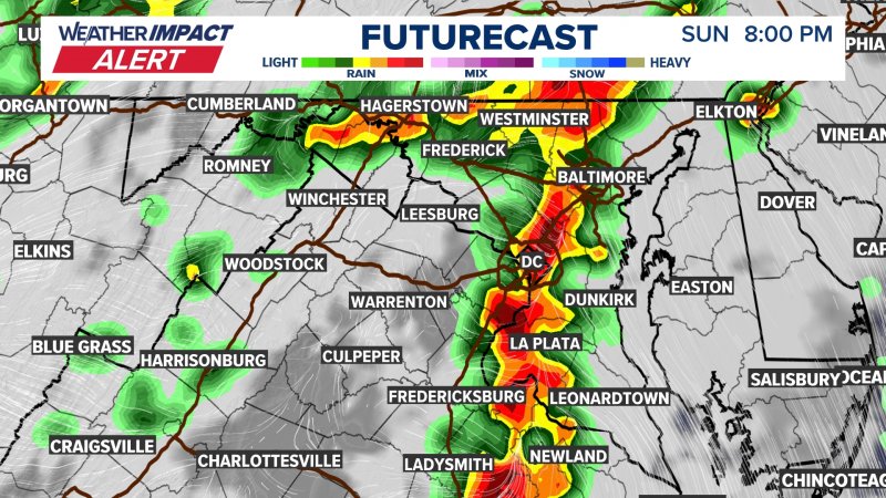 Severe storms threaten UFC Freedom 250 fight at White House | News.az